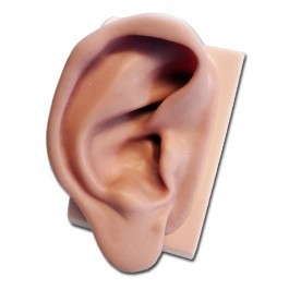 Silicone Ear Model for Practising (Right)