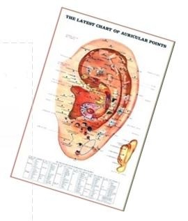 Auricular Points Chart