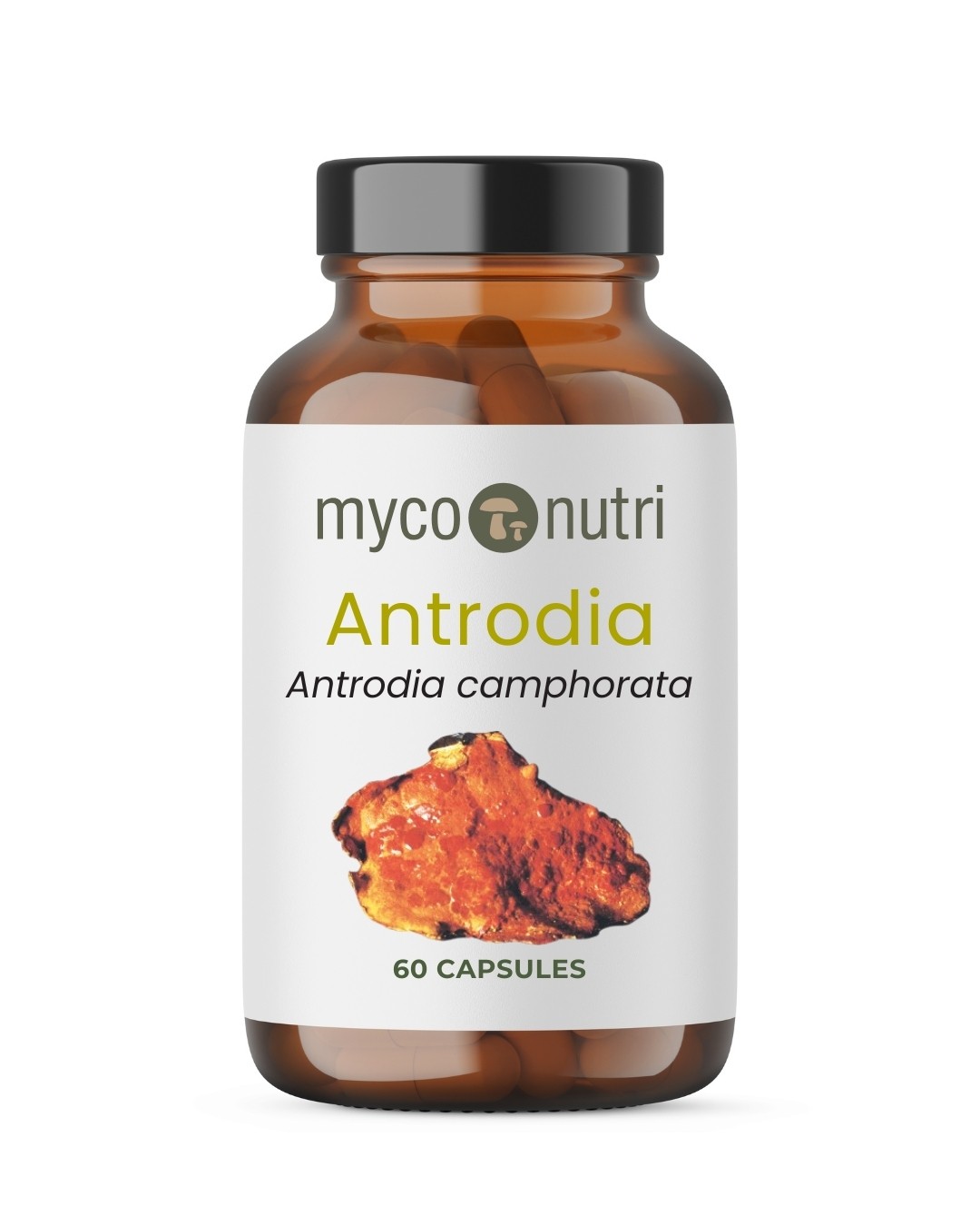 MycoNutri Antrodia 60 capsules - Antrodia - Mushroom Nutrition ...